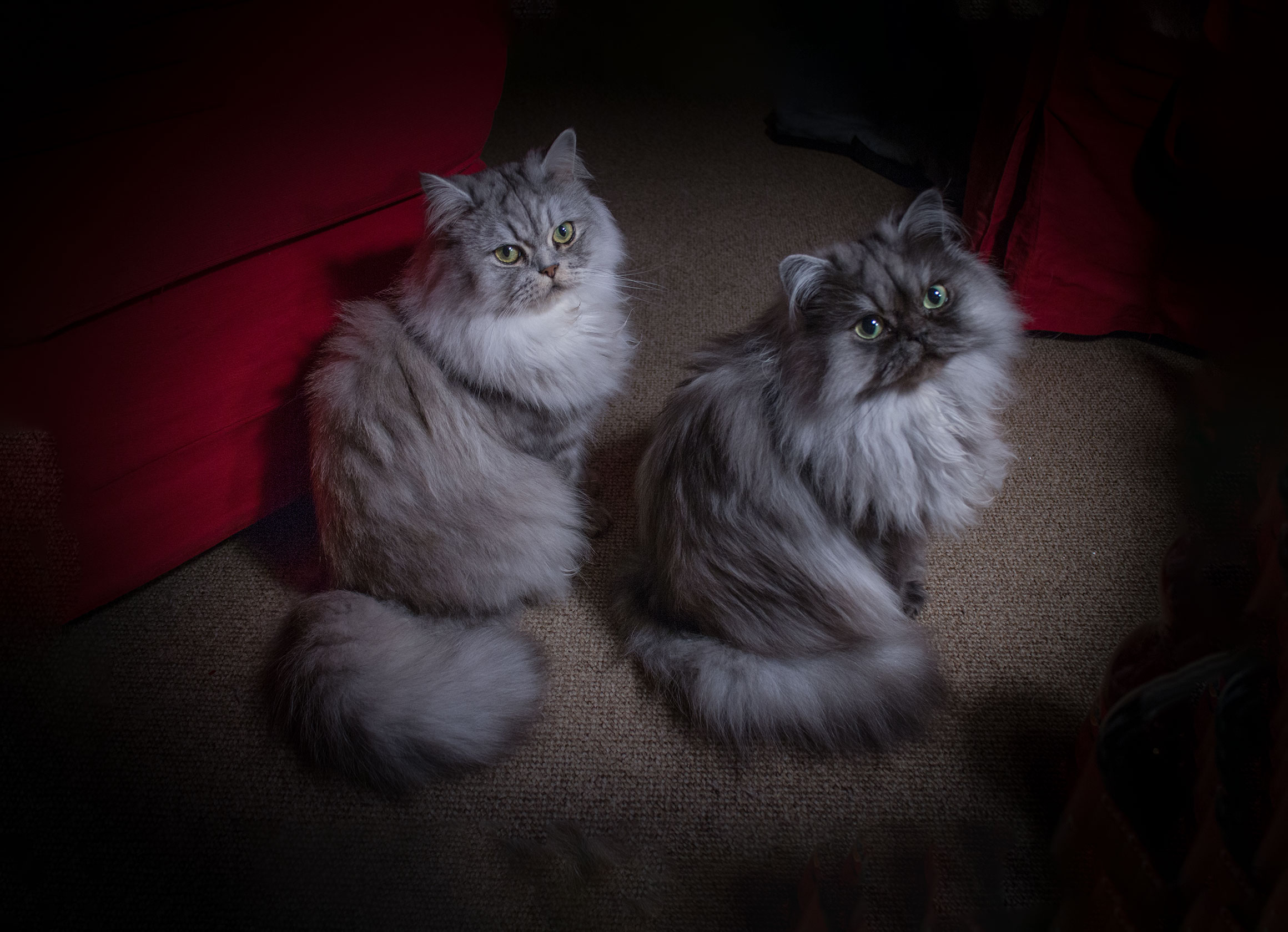 Wir sind Eddie & Pixx.